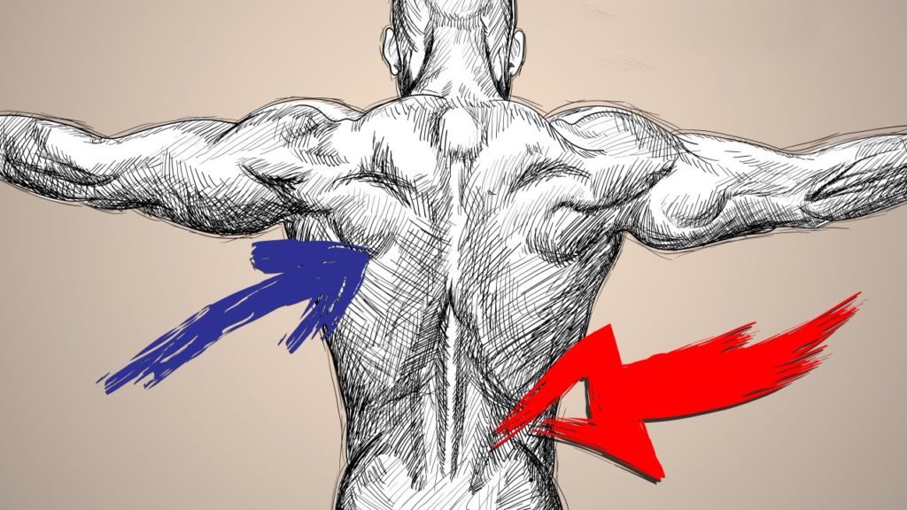 How to Get Bigger Calves (WITH BAD CALF GENETICS!!) – Man-Health ...