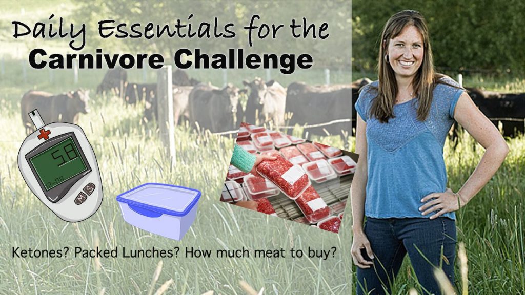 Daily Essentials of the Carnivore Diet – Man-Health-Magazine-Online.com