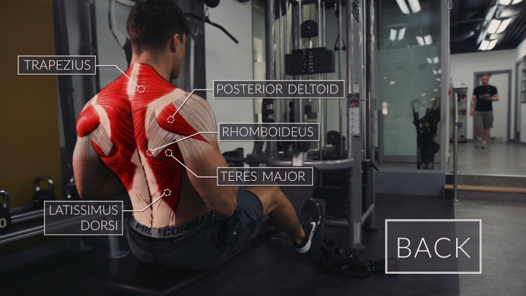 Exercise Anatomy: Back Workout | Pietro Boselli – Man-Health-Magazine ...