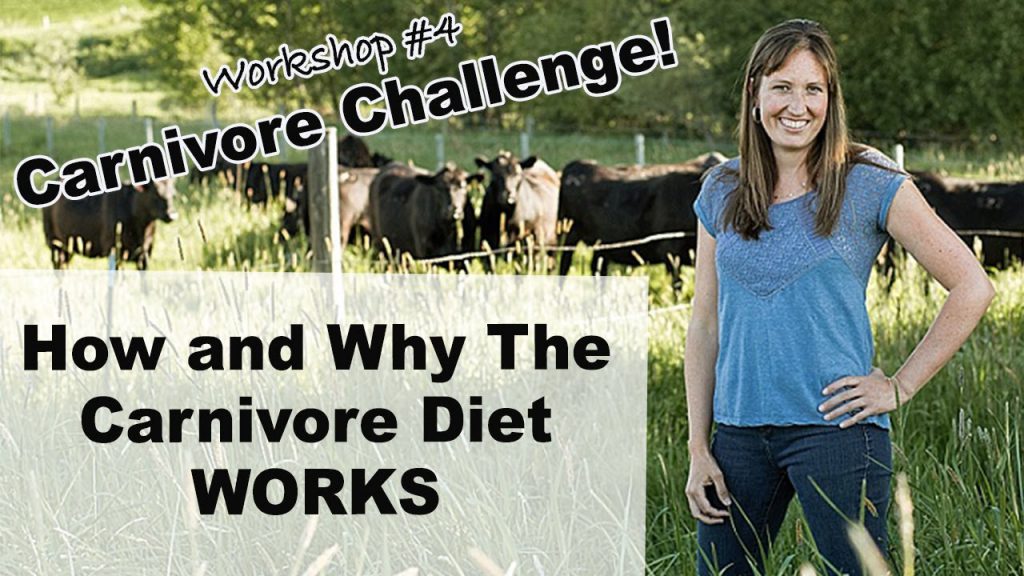How Does the Carnivore Diet Work? (Carnivore Challenge Workshop #4 ...