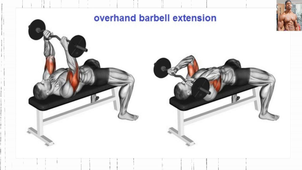 Bodybuilding Exercises/ Best Arms workouts For Mass – Man-Health ...