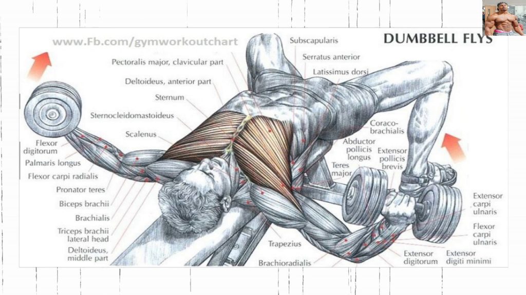 Bodybuilding Exercises/ Best Chest workouts For Mass – Man-Health ...
