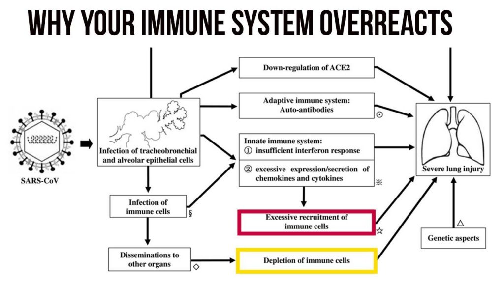 Young People Not Immune (strong immunity is part of COVID-19 problem ...