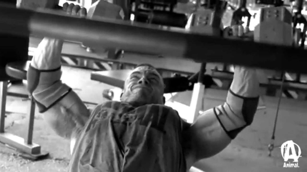 Bodybuilding Motivation Animals – Man-Health-Magazine-Online.com